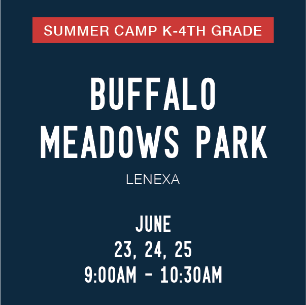 Summer Camp Buffalo Meadows – Herd Running